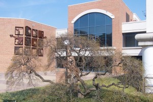 Central Library - Arlington Public Library